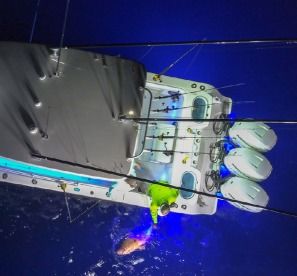 LIGHTING - CED Marine